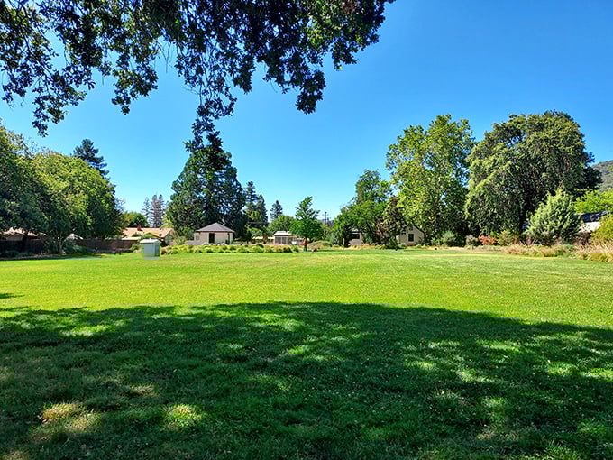 Observatory Park's expansive lawn invites picnics, frisbee games, and cloud-watching—activities that don't require an app or monthly subscription to enjoy.