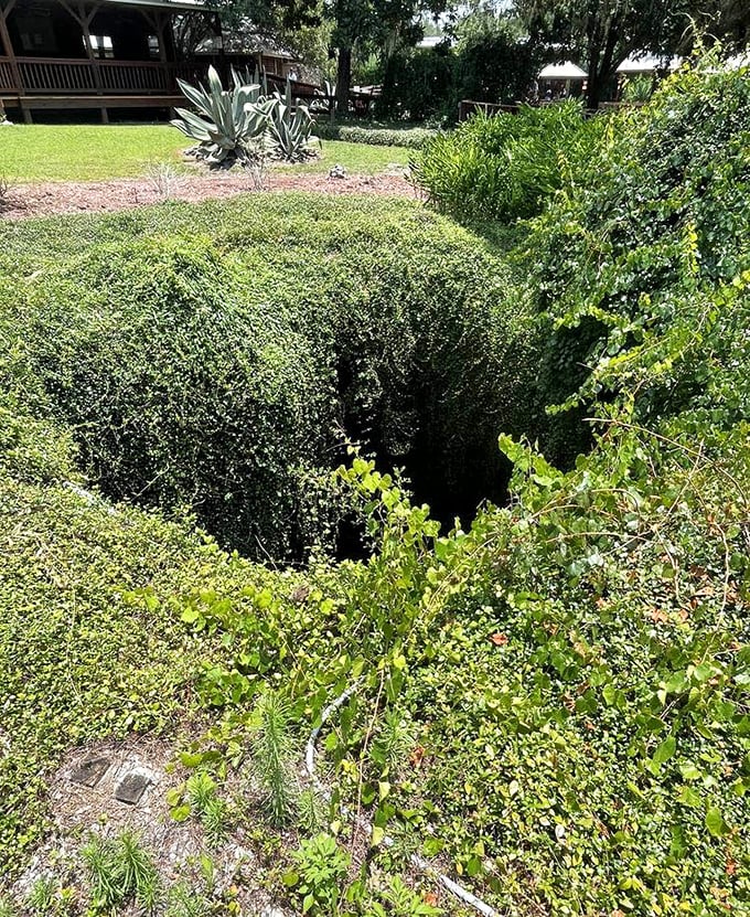 From above, the den looks deceptively modest—just a hole in the ground. It's Florida's version of "don't judge a book by its cover."