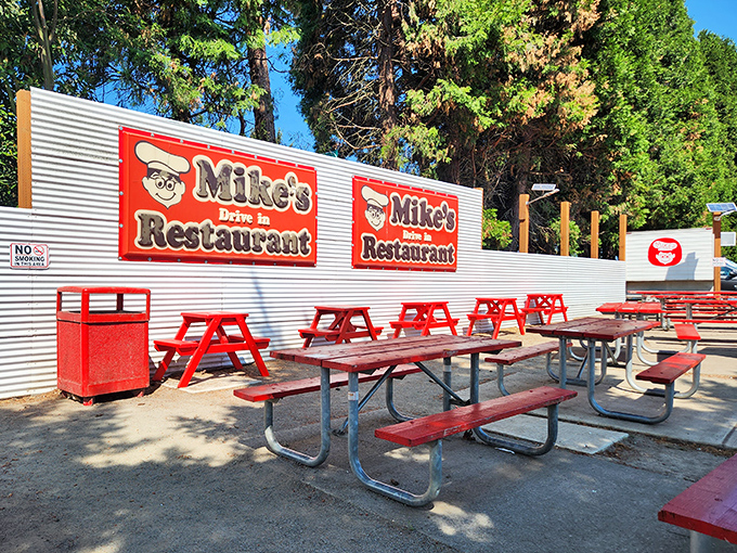 Red picnic tables under towering pines create the perfect outdoor dining spot where burgers taste even better with a side of fresh air.