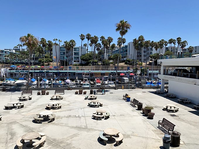 The outdoor dining area—where every table is the best seat in the house. Palm trees and ocean breezes included at no extra charge.