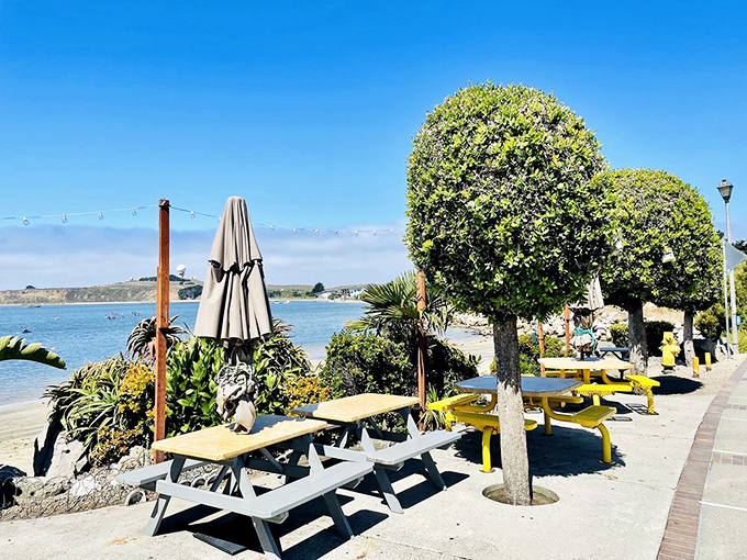 Outdoor picnic tables with million-dollar views prove that sometimes the best dining rooms have no walls – just sea breezes and sunshine.