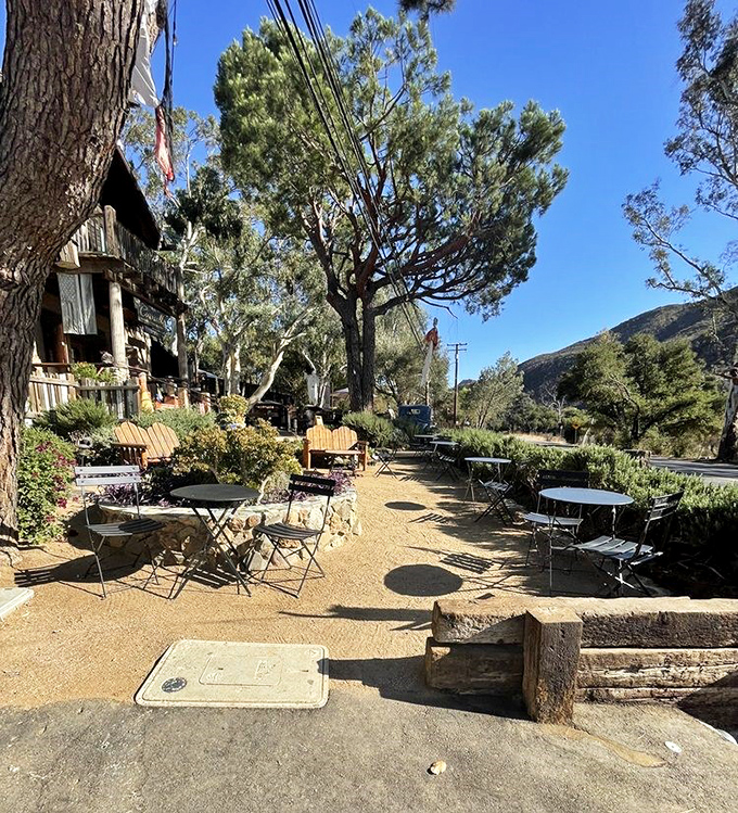 Outdoor tables bathed in dappled sunlight filtering through towering pines – the perfect setting for savoring both your meal and the mountain scenery.