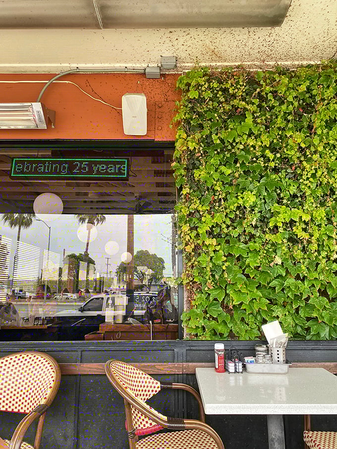 A touch of greenery and outdoor seating with a digital sign celebrating 25 years—proof that in a city of trends, quality stands the test of time.