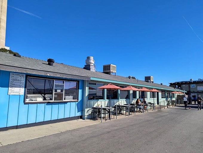 On sunny California days, the outdoor seating becomes prime real estate—ocean air is the perfect invisible ingredient for every seafood meal.