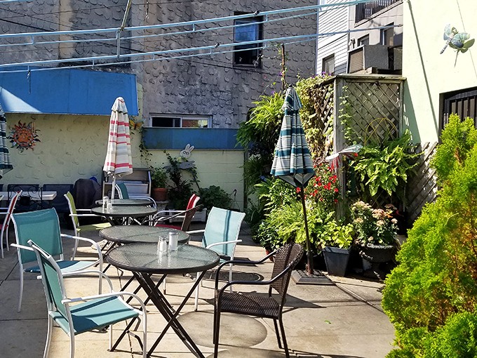 The secret garden patio offers urban oasis vibes – where your coffee comes with a side of fresh air.
