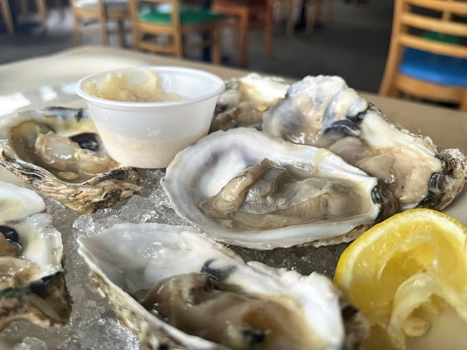 Oysters on the half shell—nature's perfect appetizer. These glistening treasures need nothing more than a squeeze of lemon and good company. 