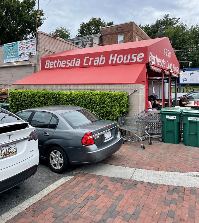 The modest exterior belies the seafood treasures within. Like all great food institutions, it's not about curb appeal—it's about what's steaming in the kitchen.
