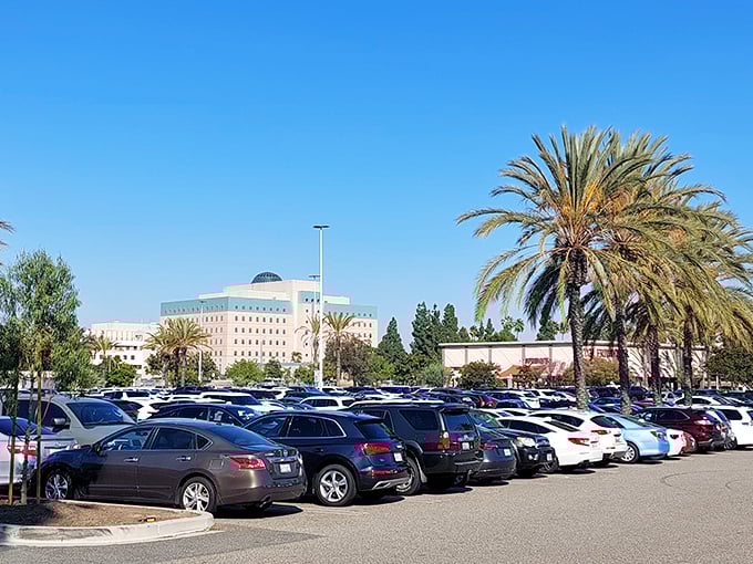 The sprawling parking lot—a sea of California cars baking under palm trees—where the true adventure begins and ends, and finding your vehicle becomes a memory game.