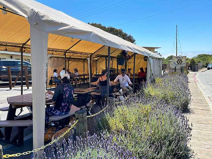 Even the outdoor seating feels like a special occasion with lavender perfuming the air. Proof that sometimes the best dining room has no ceiling.