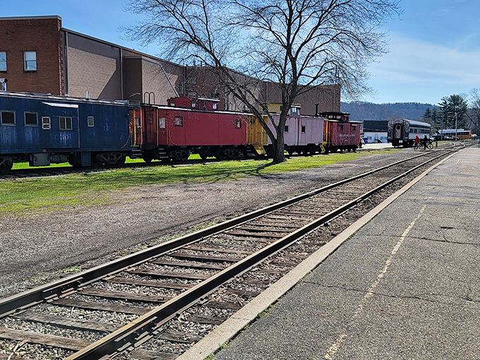 A rainbow of cabooses rests along the tracks, each a different chapter in the colorful storybook of American railroad history.