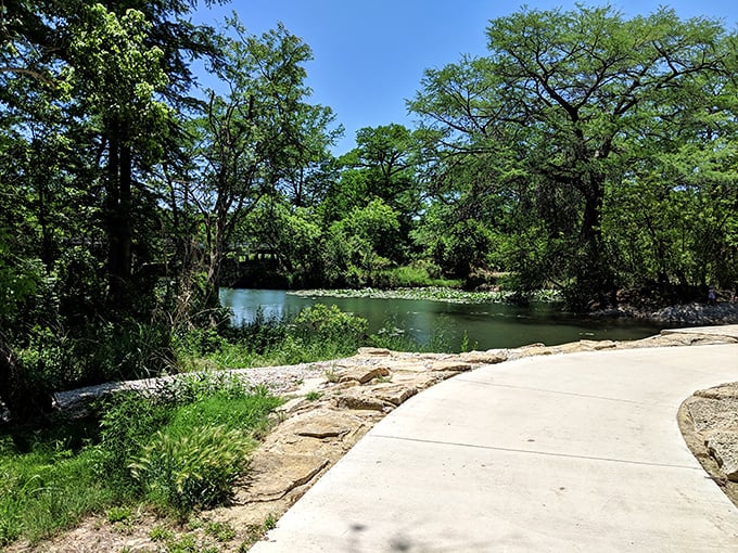 The Guadalupe River's edge, where limestone meets water meets sky, creating that perfect Hill Country trinity that soothes the urban-weary soul.
