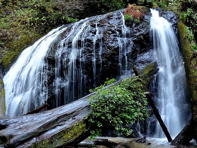 Russian Gulch waterfall doesn't just flow—it performs, creating nature's version of a spa soundtrack that no app can truly replicate.