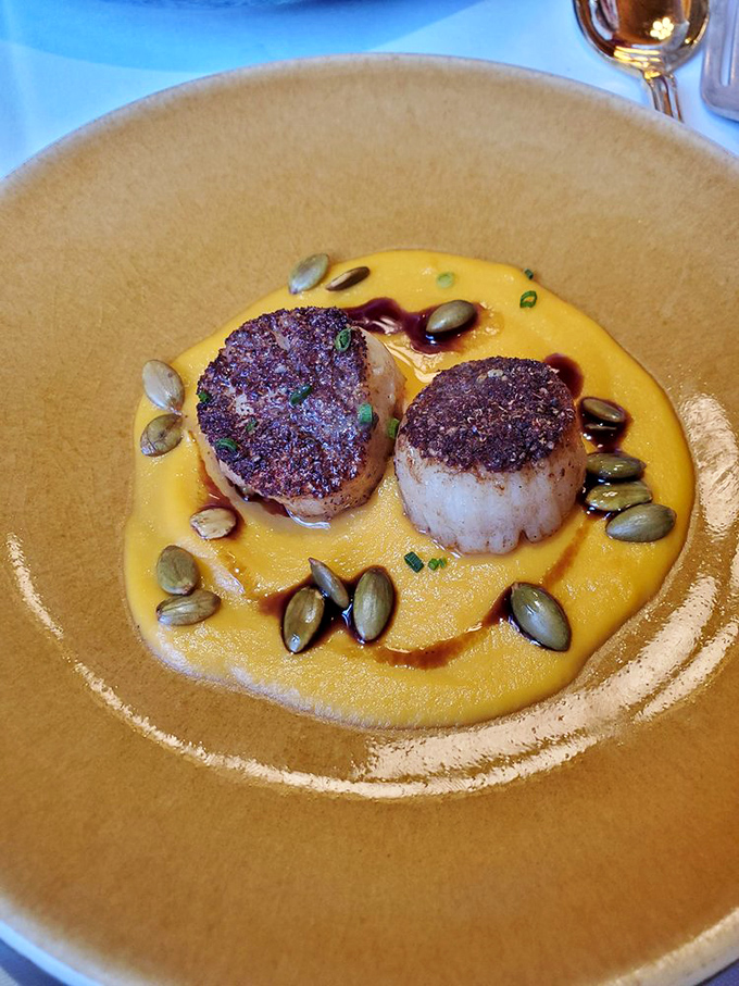 Scallops seared to golden perfection, nestled on a sunset-colored puree. Those pumpkin seeds aren't just garnish—they're the perfect crunchy counterpoint to the buttery shellfish.