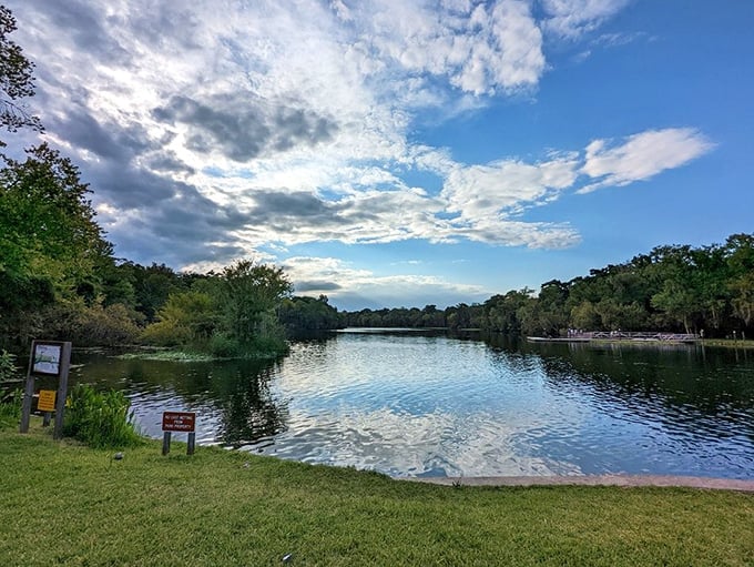 This view makes you understand why Ponce de León got confused – if this isn't the Fountain of Youth, it's close enough.