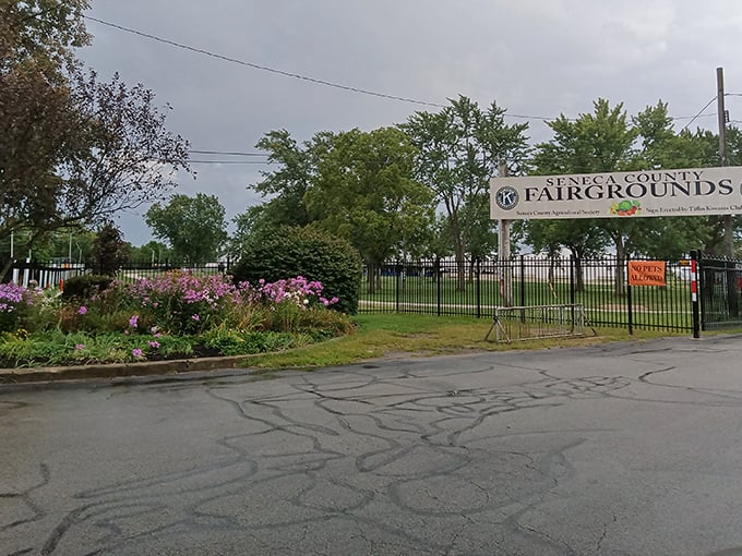 The gateway to weekend adventures. Seneca County Fairgrounds transforms from agricultural showcase to bargain hunter's paradise on flea market weekends.