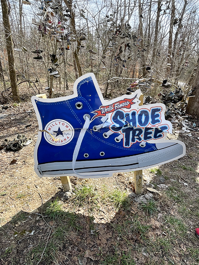 The whimsical sign declares this a "World Famous" attraction, and honestly, how many other trees can claim to wear this many shoes?