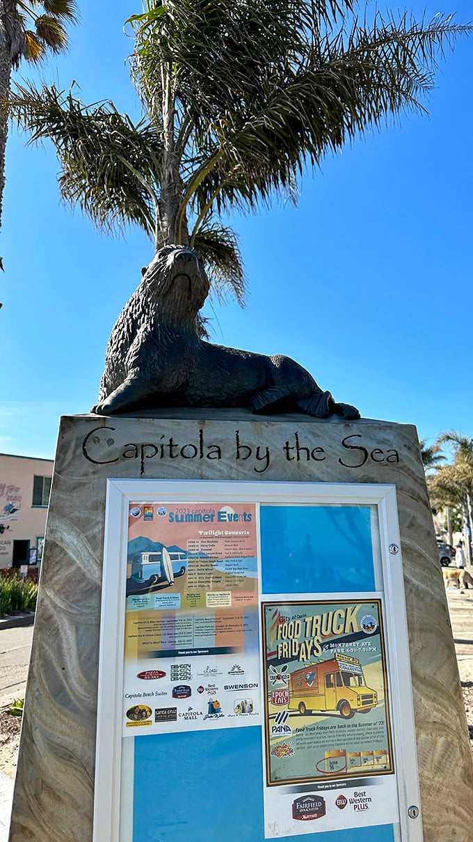 Capitola's sea lion mascot stands guard over community announcements, proving even small towns know how to throw a proper beach party.