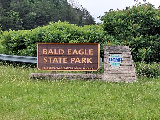 The entrance sign, surrounded by ferns, doesn't just mark a boundary – it's the dividing line between everyday life and your next great story.