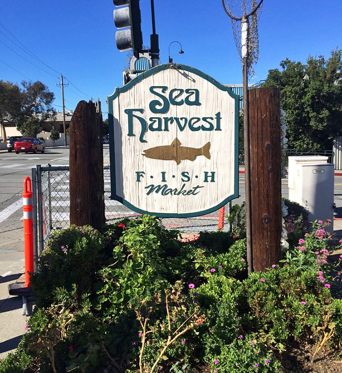 A sign that promises exactly what it delivers—fresh seafood without fanfare. Like a lighthouse guiding hungry sailors to safe harbor.