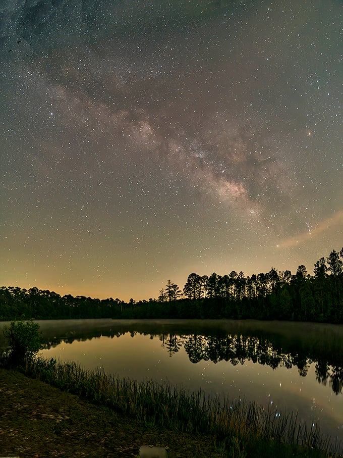 Stars putting on a show that outshines Broadway. The Milky Way stretches across Aiken's night sky, reminding us why our ancestors invented constellations instead of Netflix.