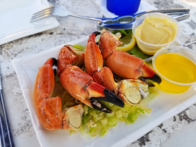 Stone crab claws—Florida's edible treasure—served simply with lemon and dipping sauces because when something's this fresh, you don't need to complicate matters.