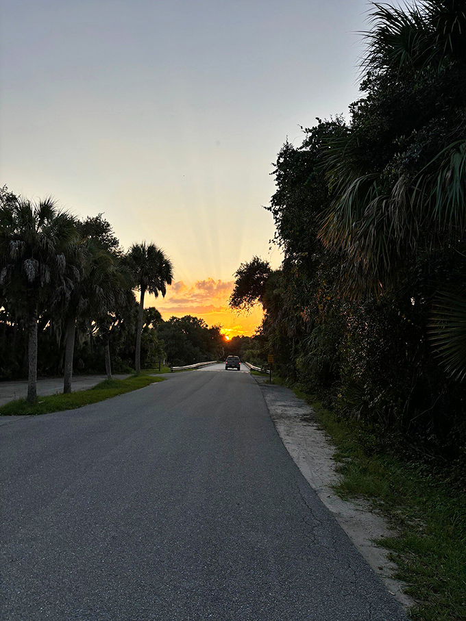 Florida sunsets – nature's way of saying tomorrow deserves another chance. The perfect finale to a day of wild discoveries.