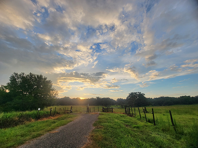 Golden hour transforms Brooksville's pastoral landscapes into paintings, where fence posts frame nature's daily masterpiece.
