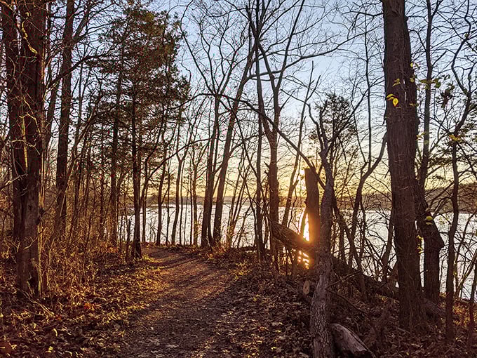 Nature's grand finale as day bids farewell. This sunset trail proves that the best theater in Pennsylvania doesn't have velvet seats or ticket stubs.