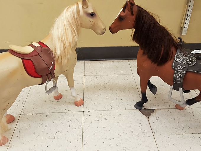 Two toy horses face off in silent negotiation—"Your paddock or mine?"—waiting for a child's imagination to bring them galloping to life.