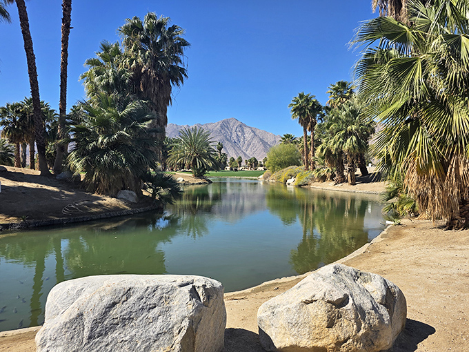 Desert oasis in the truest sense – where water creates a mirror for mountains and palms, reflecting the surprising diversity of this landscape.
