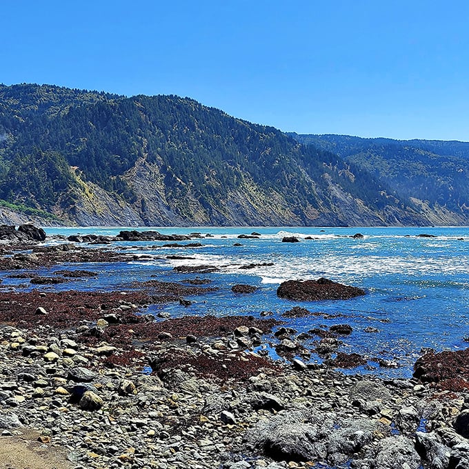 The rugged Lost Coast doesn't do "gentle"—these dramatic cliffs and churning waters show exactly why ships needed that lighthouse beacon.