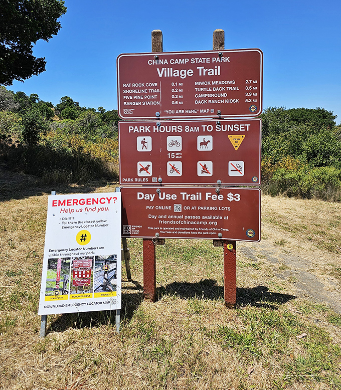 Village Trail – where the $3 entry fee might be the best investment you'll make all year in your mental health.