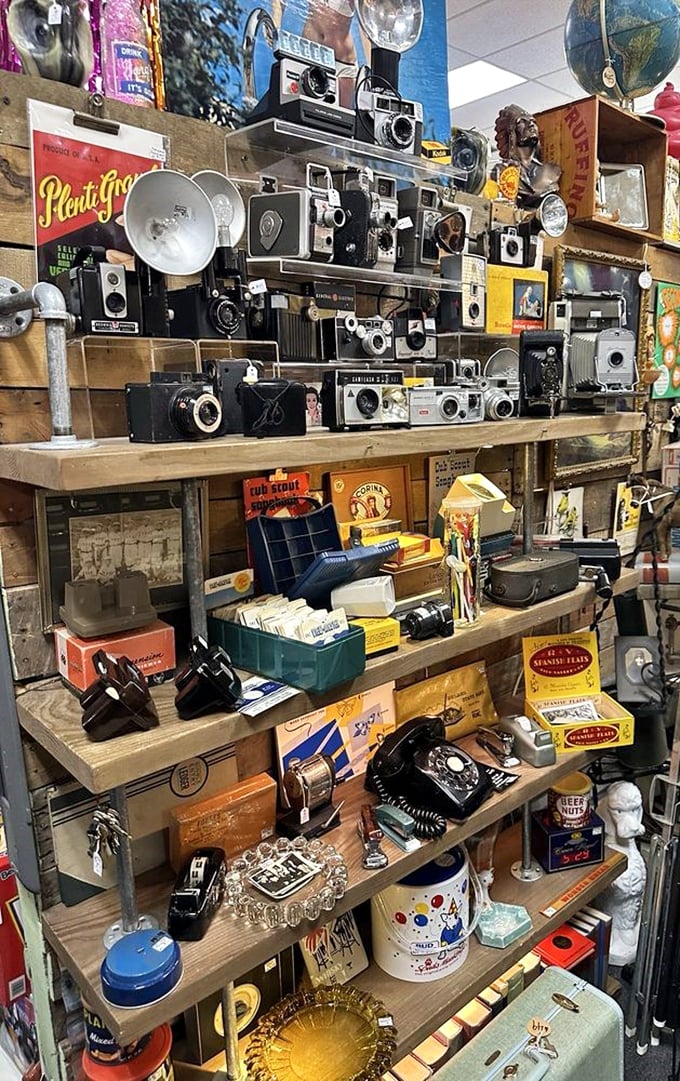 A wall of vintage cameras that captured countless memories now create new ones for collectors. Every Kodak moment is immortalized here.
