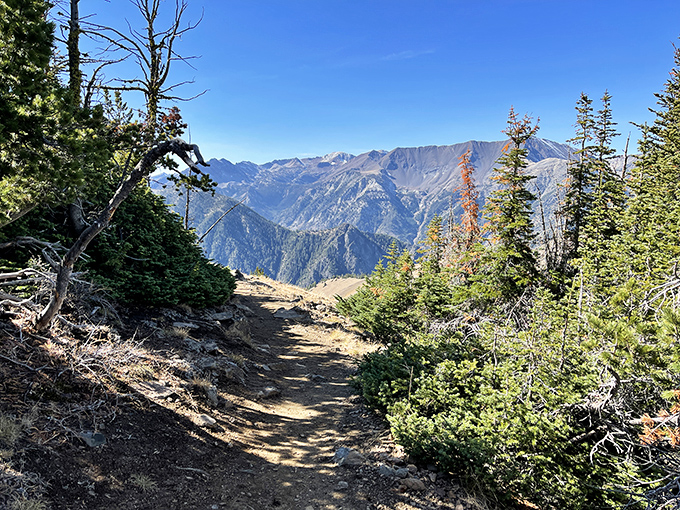 This mountain vista from the Elkhorn range reminds us why people settle in Baker City – when paradise is your backyard, why would you live anywhere else?