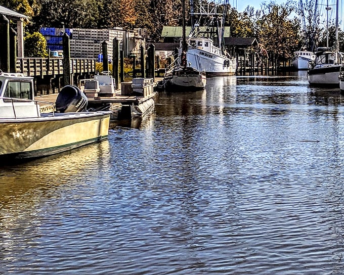 Darien's waterfront offers a peaceful respite where boats gently rock in rhythm with the tides – nature's own lullaby for visitors seeking coastal serenity.
