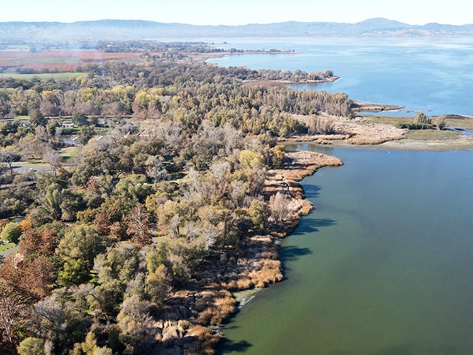 From above, the park reveals its true character—a perfect patchwork of forest and shoreline embracing California's largest natural freshwater lake.