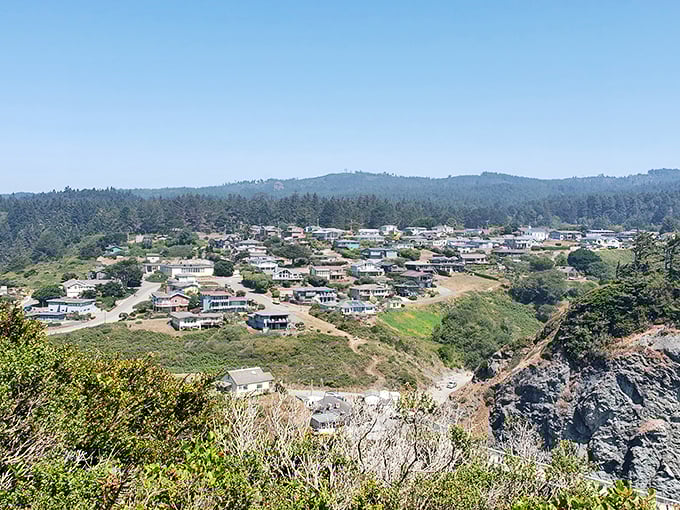 The town sprawls across the headlands like a community that collectively decided views matter more than square footage—and they weren't wrong.