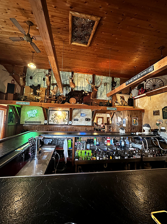 The bar area stands ready to pour cold comfort after a long day exploring the forest.