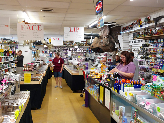 Beauty products galore beneath the watchful eye of... is that a moose head? At Q-Mart, even the decor tells a story.