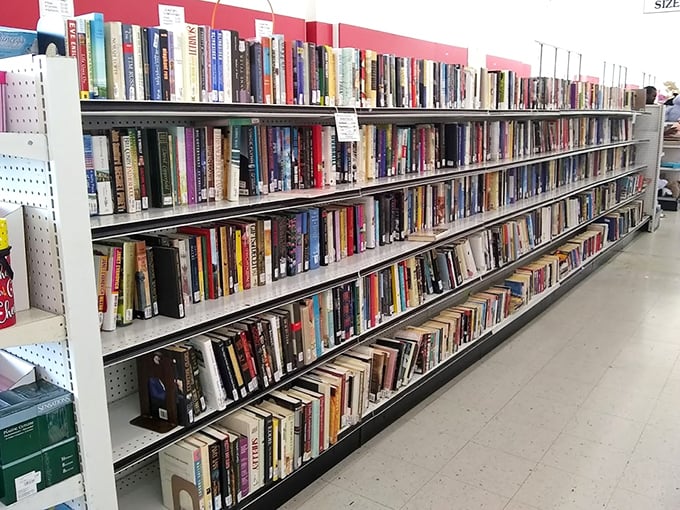 Books upon books upon glorious books. Each spine represents a world waiting to be rediscovered for mere pocket change.