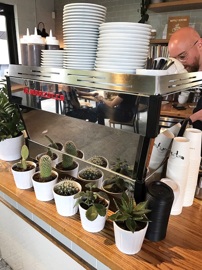 Even the cacti look stylish here—tiny sentinels guarding the espresso machine in their minimalist white pots.