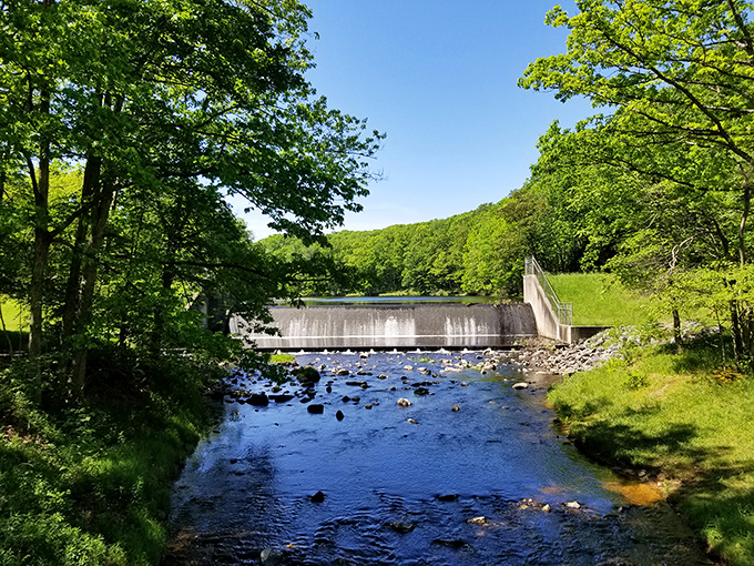 The dam stands as a testament to engineering and nature's compromise—creating a lake that's become Pennsylvania's best-kept aquatic secret.