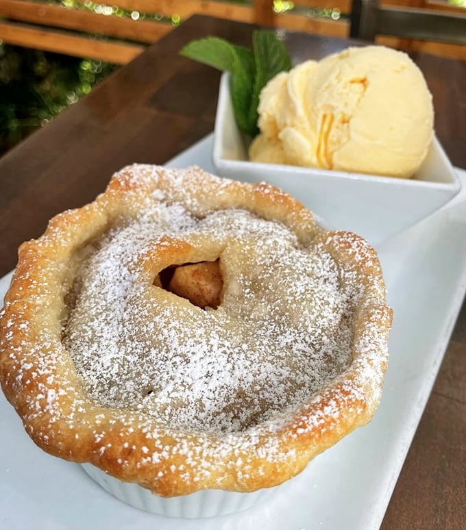 This isn't just dessert—it's the sweet finale to your barbecue symphony, where warm pie meets cool ice cream in perfect harmony. 