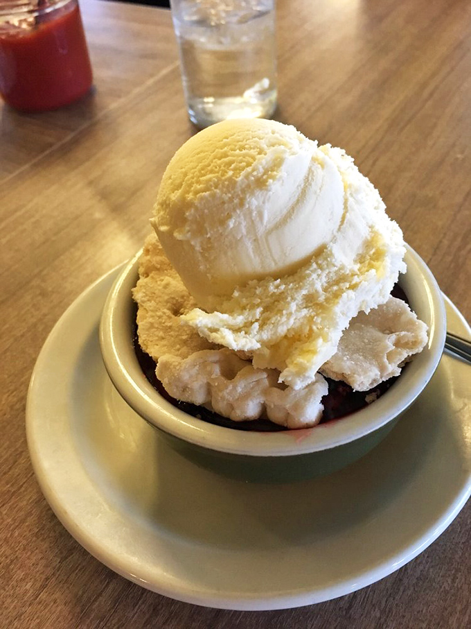 Ice cream on pie—the mathematical equation that always equals happiness, especially when served in a bowl that's seen thousands of desserts before yours.