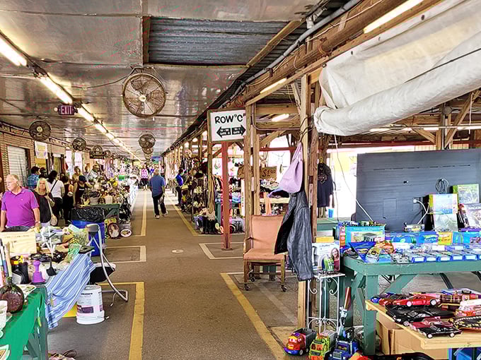 The main thoroughfare bustles with weekend warriors on the hunt. Every table holds potential discoveries – from practical household items to nostalgic collectibles.