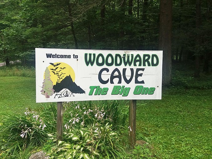 "The Big One" indeed – this cheerful sign promises adventure while the bats add just enough mystery to pique your curiosity.