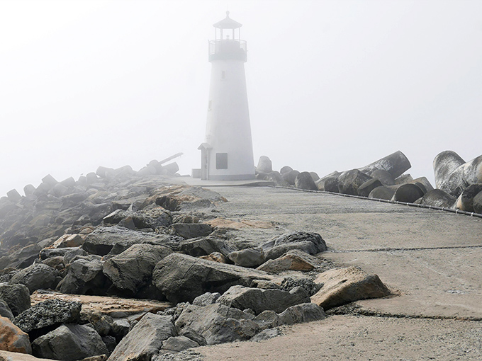 When fog embraces the lighthouse, it transforms from postcard-perfect to mysteriously moody. Like running into your accountant at a jazz club—surprisingly atmospheric.