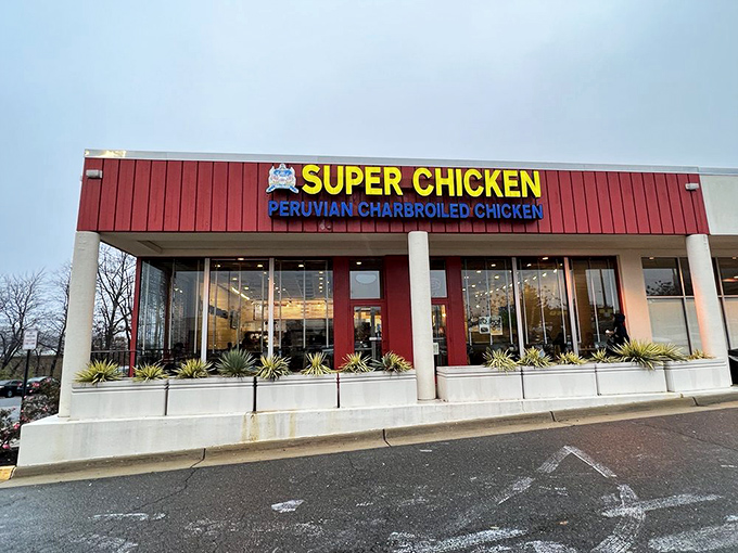The exterior view that's launched a thousand dinner plans. That sign promises Peruvian charbroiled chicken—and Super Chicken delivers on that promise.