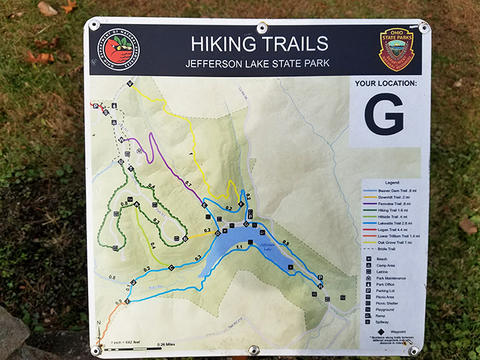 Trail maps that won't leave you wandering in circles questioning your life choices and navigation skills.