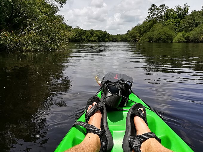 Kayaking the spring run offers the perfect vantage point. Your feet become the bow ornament on this self-propelled adventure craft. 